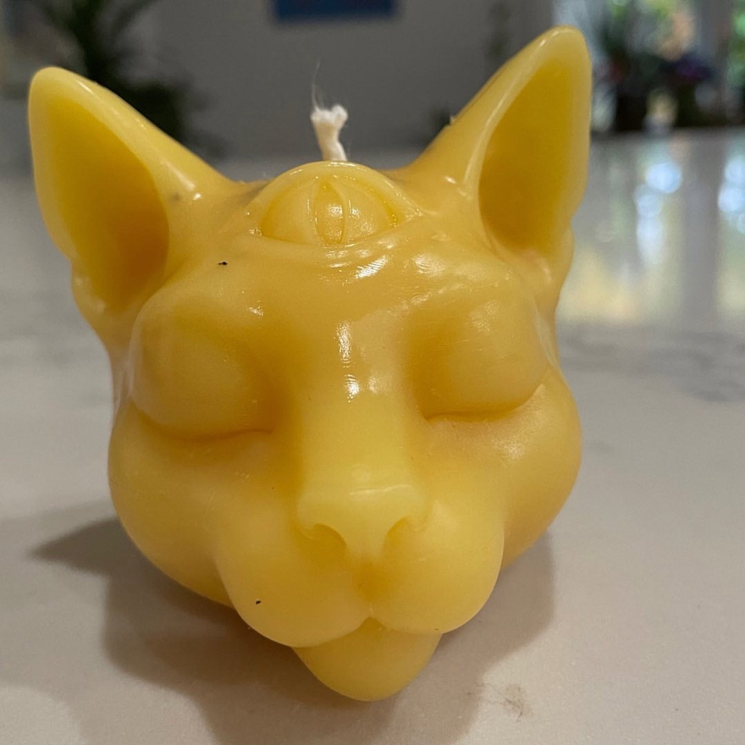 Third eye cat – Bee Fabulous Honey